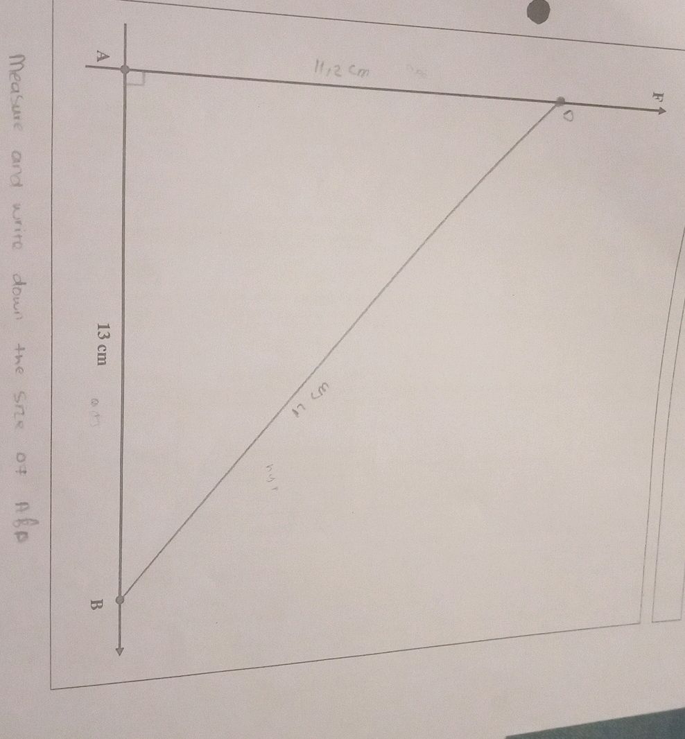 Measure and write down the size of ABP | StudyX