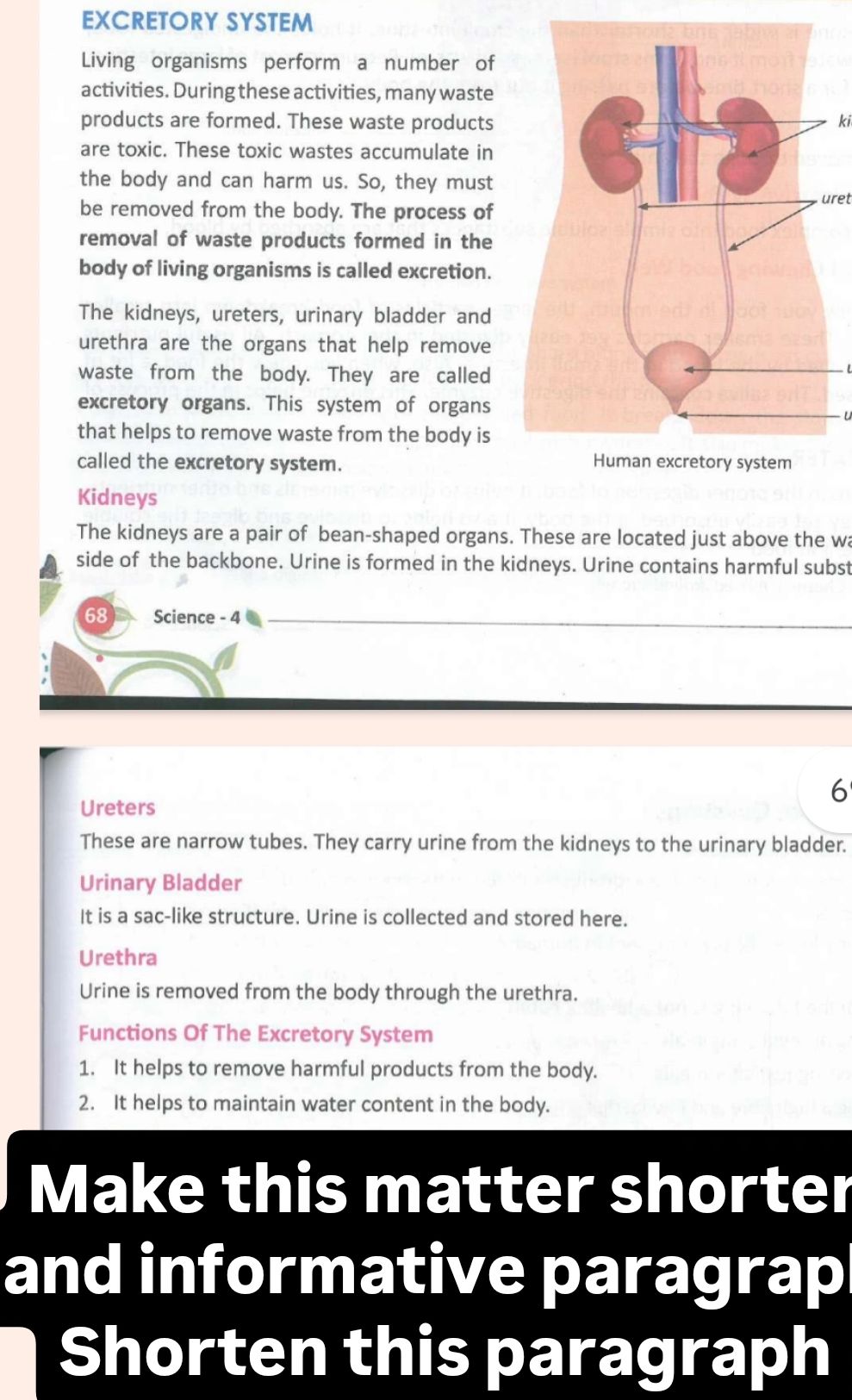 The excretory system removes waste from the | StudyX