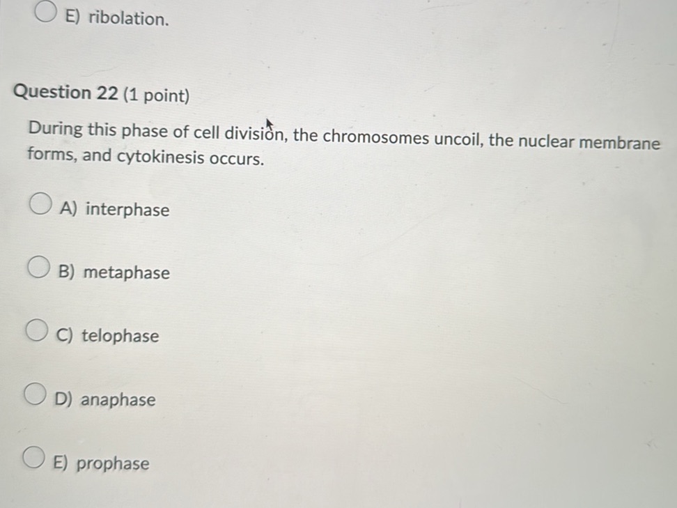 During this phase of cell division, the | StudyX