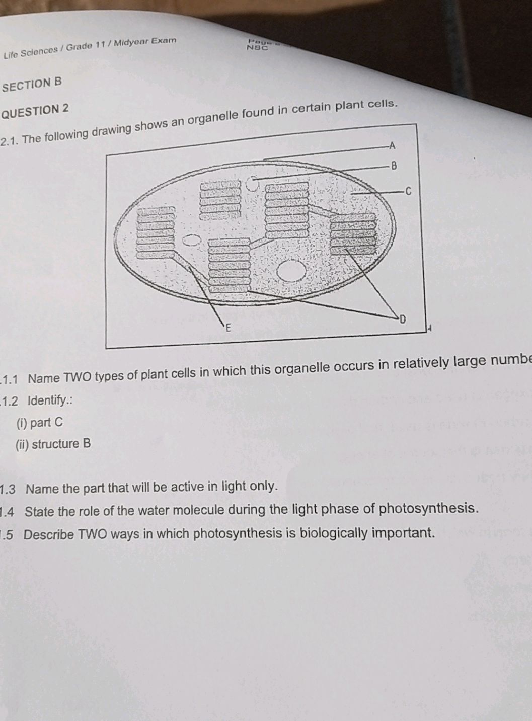 2.1. The following drawing shows an | StudyX