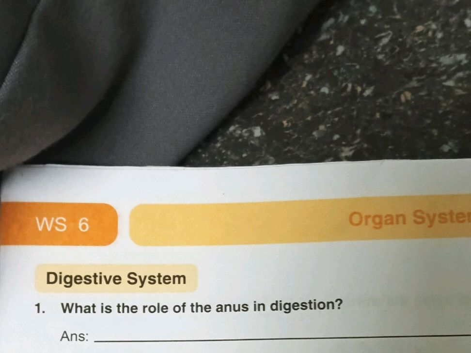 1. What is the role of the anus in | StudyX
