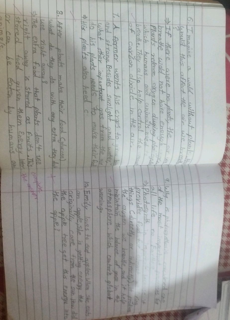 6. I imagine a world without plants. How | StudyX