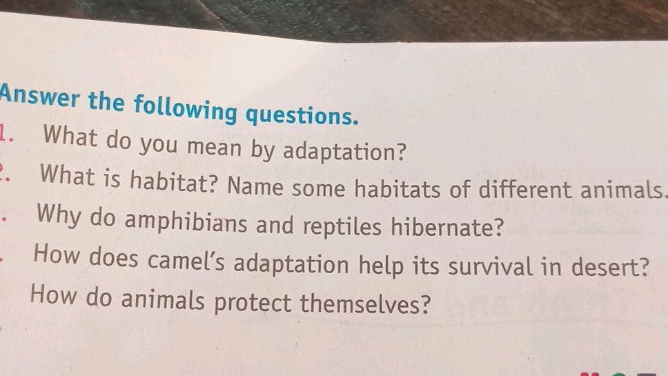 Answer the following questions. 1. What do | StudyX