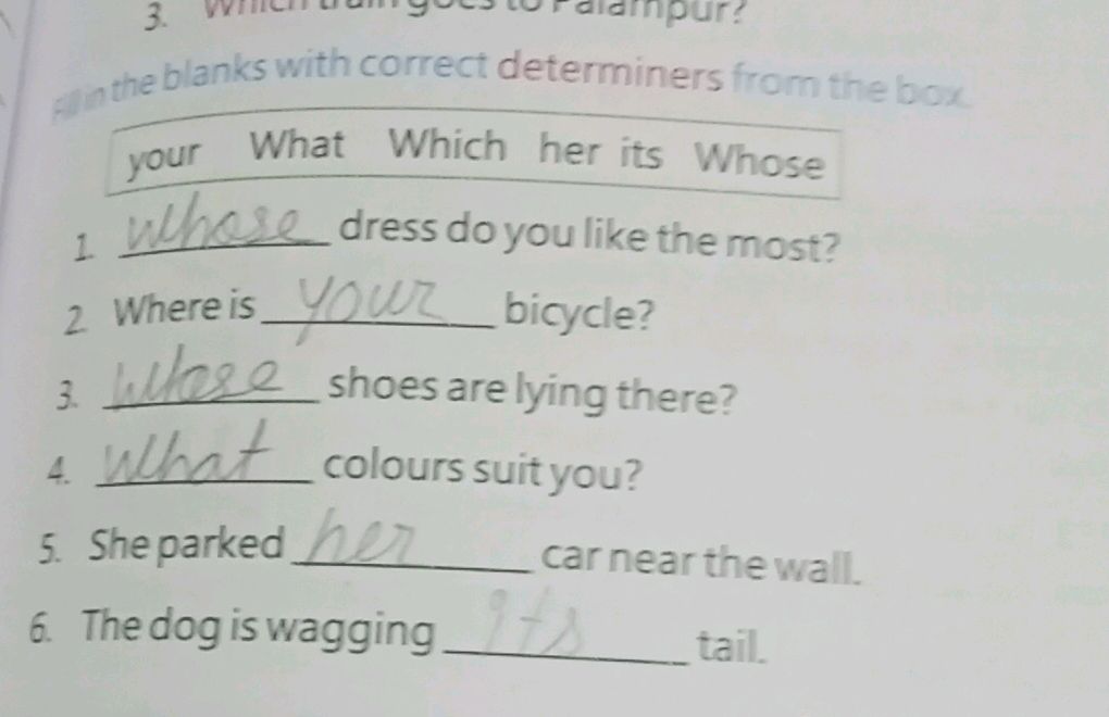 Fill in the blanks with correct determiners | StudyX