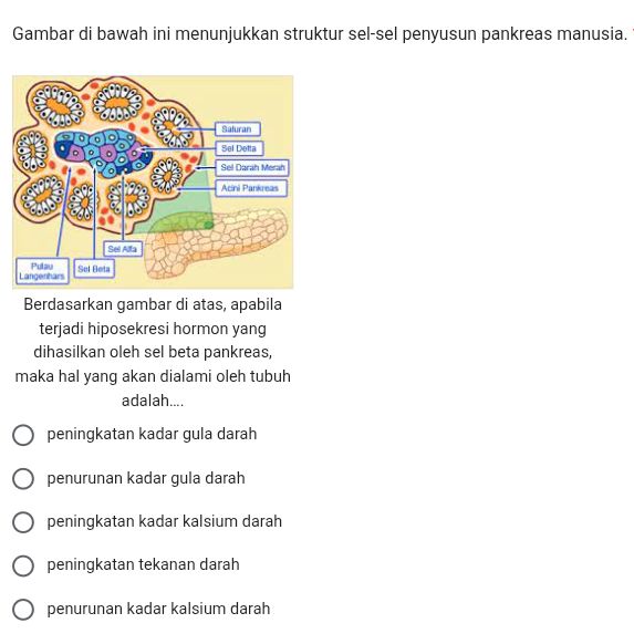 Gambar di bawah ini menunjukkan struktur | StudyX