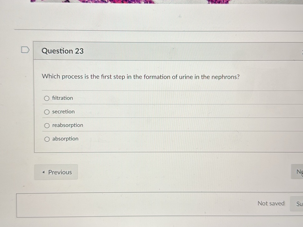 Question 23 Which process is the first step | StudyX