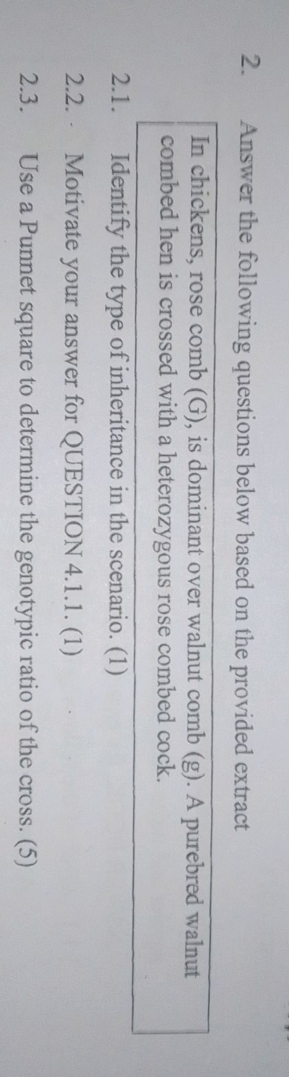 2. Answer the following questions below | StudyX