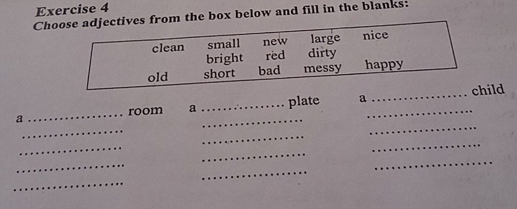 Exercise 4 Choose adjectives from the box | StudyX