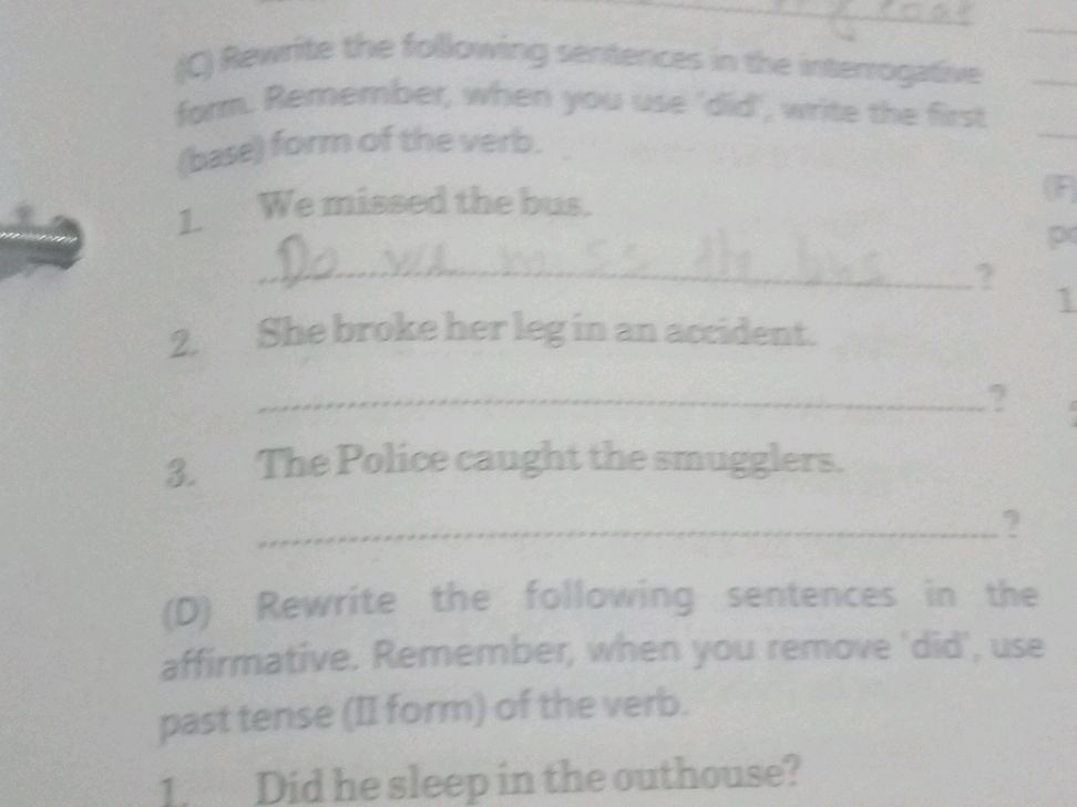 (C) Rewrite the following sentences in the | StudyX