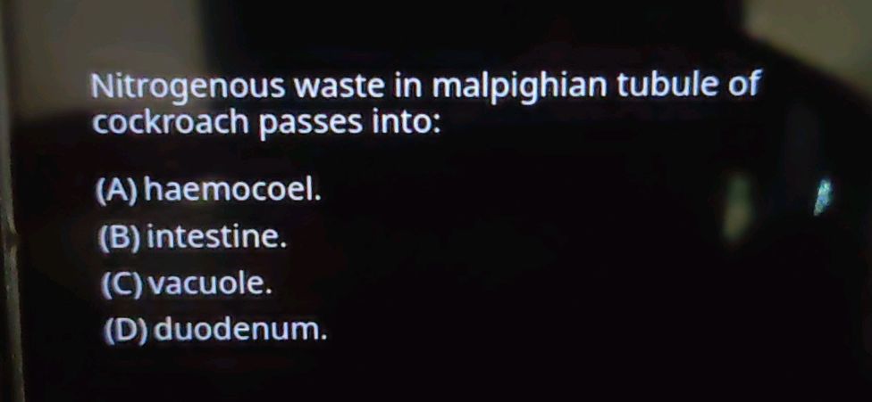 Nitrogenous waste in malpighian tubule of | StudyX
