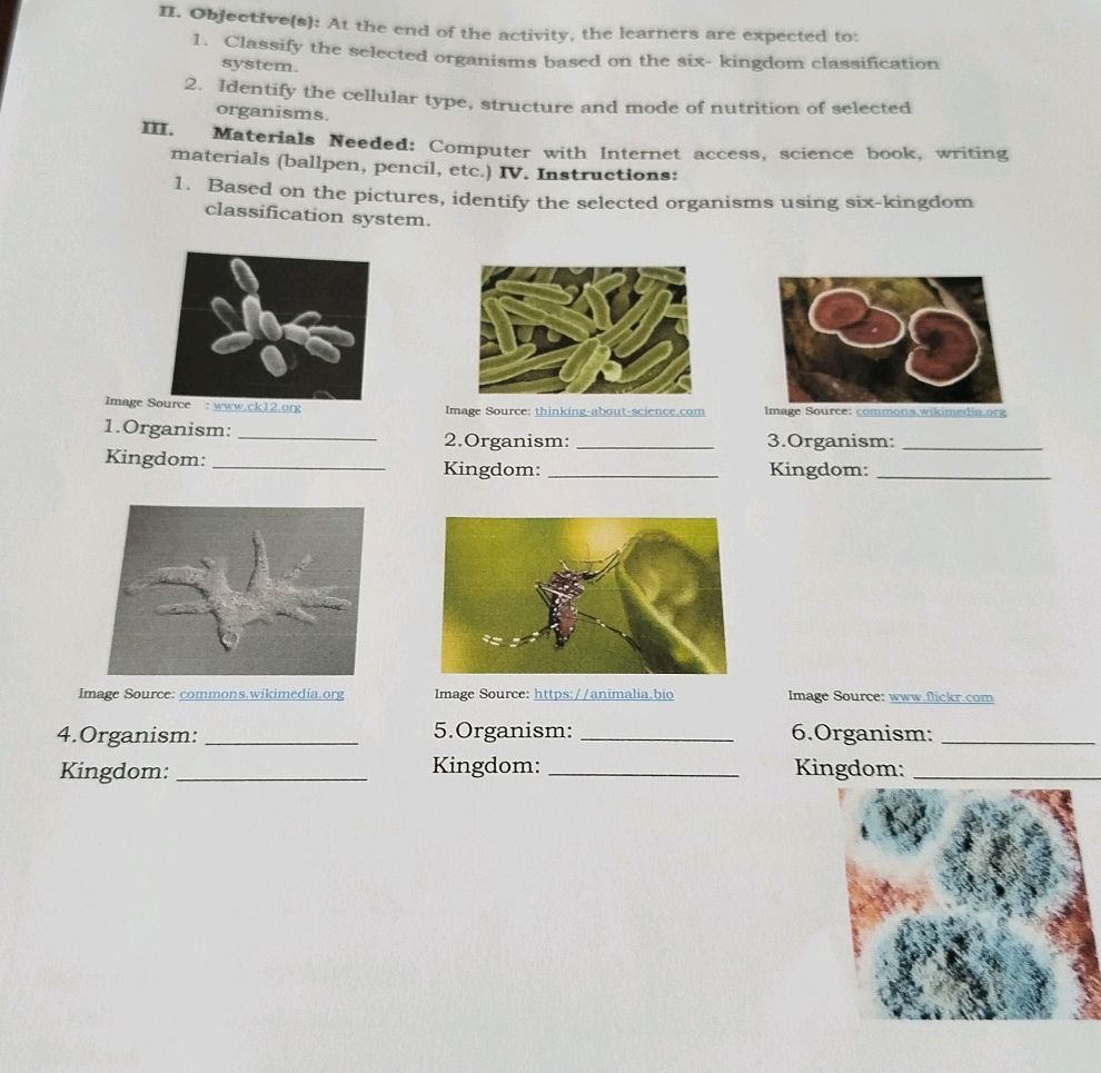 Based on the pictures, identify the selected | StudyX