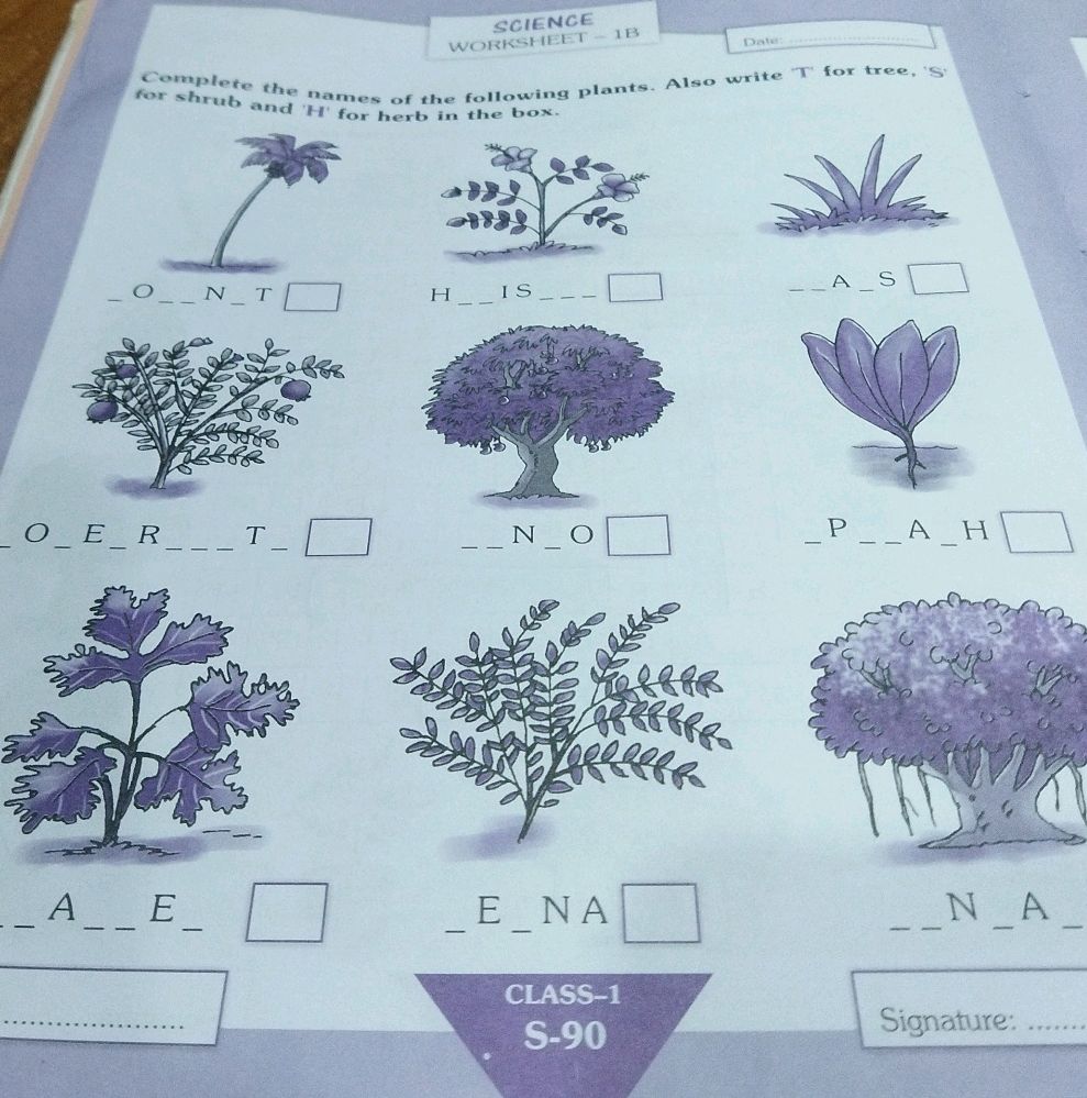 Complete the names of the following plants. | StudyX