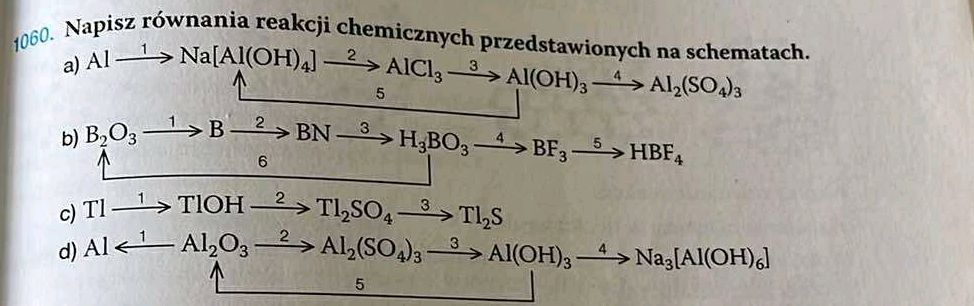 1060. Napisz równania reakcji chemicznych | StudyX