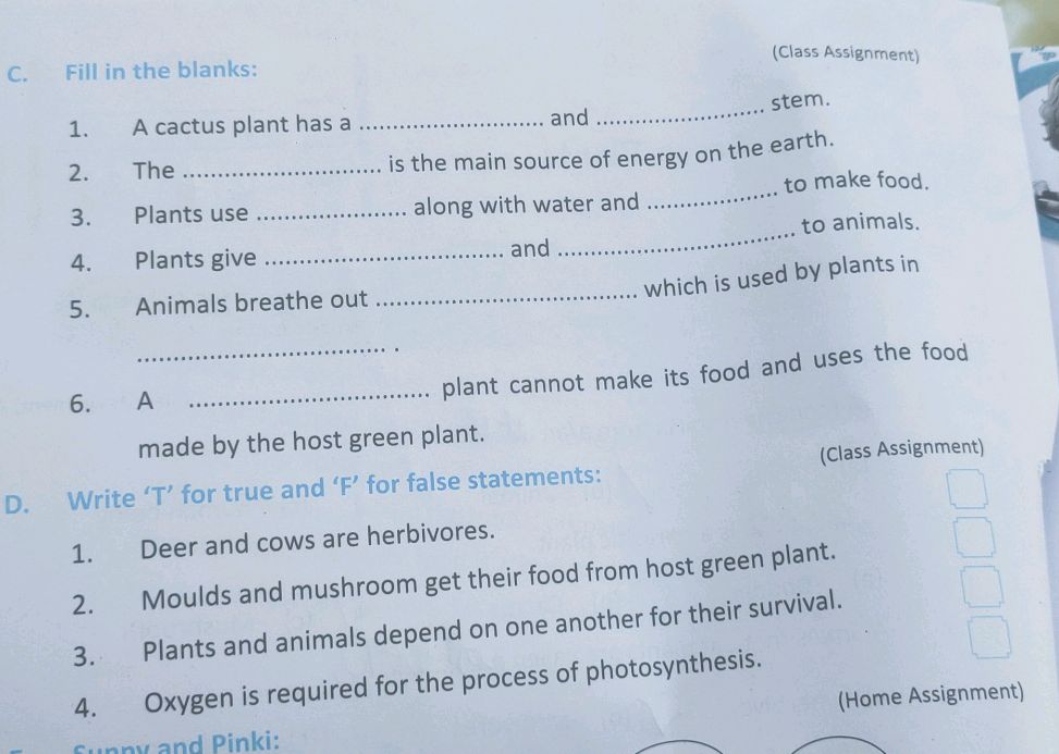 C. Fill in the blanks: 1. A cactus plant | StudyX