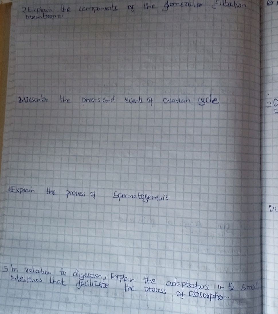 2 Explain the components of the glomerular | StudyX