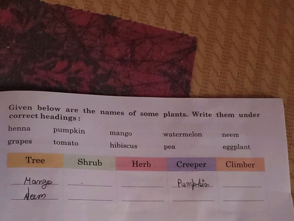 Given below are the names of some plants. | StudyX