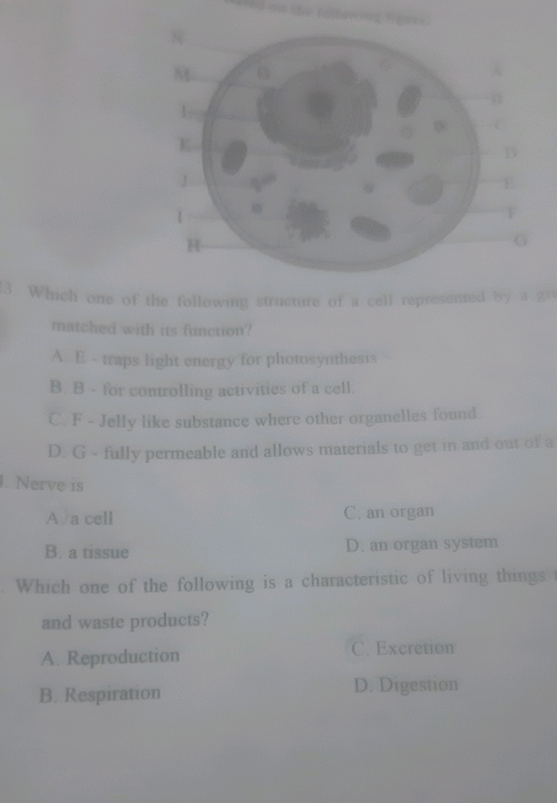 23. Which one of the following structure of | StudyX