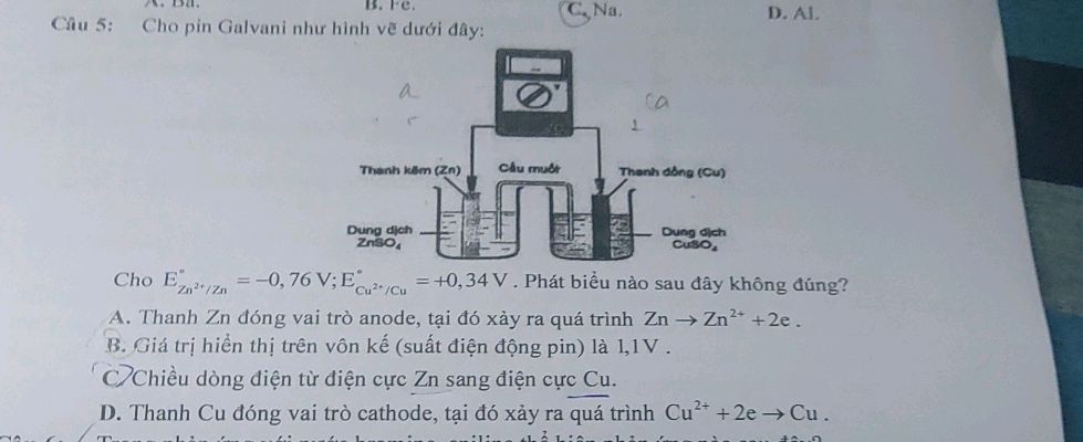 Câu 5: Cho pin Galvani như hình vẽ dưới đây: