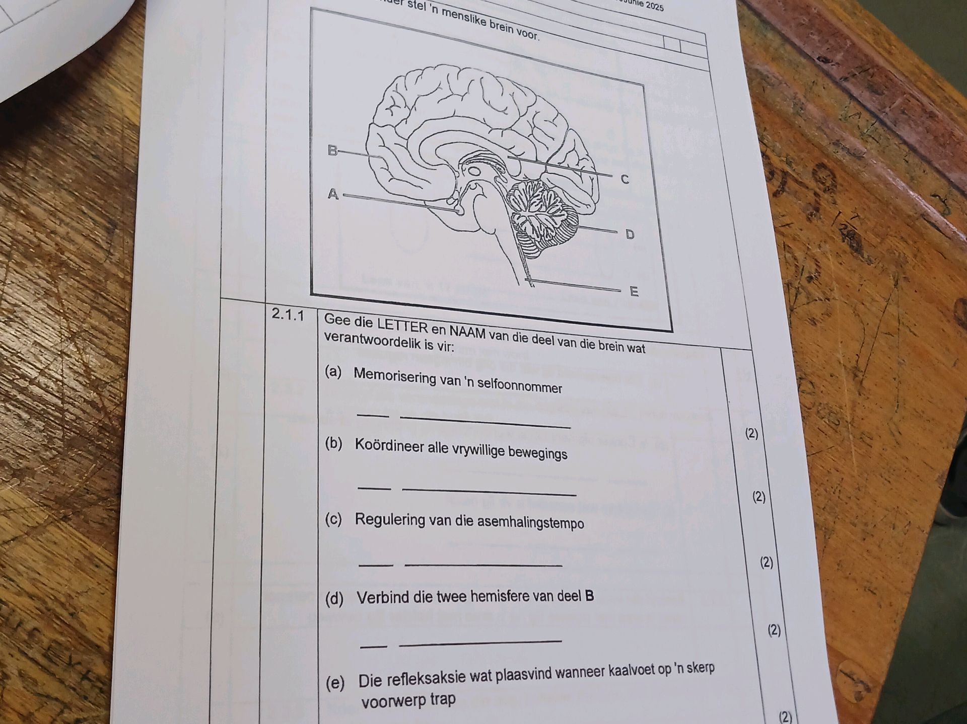 2.1.1 Gee die LETTER en NAAM van die deel | StudyX