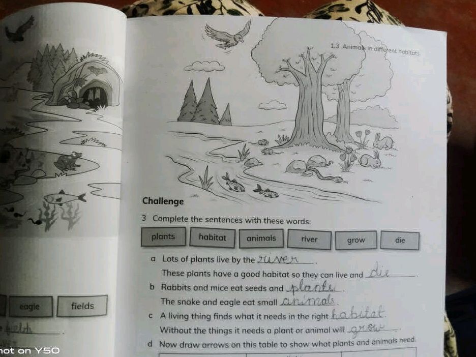 3 Complete the sentences with these words: | StudyX