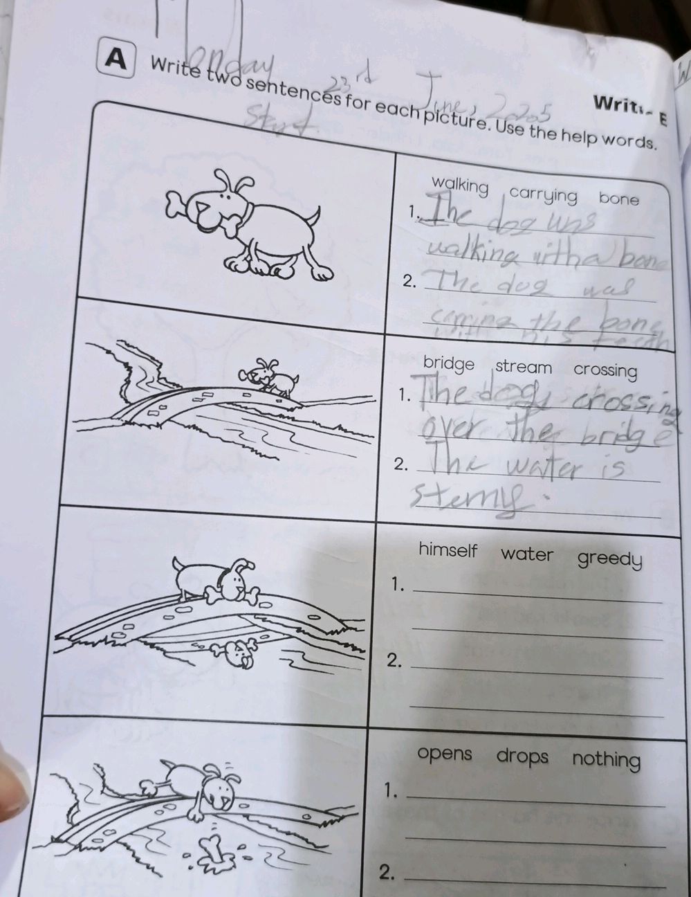 Write two sentences for each picture. Use | StudyX