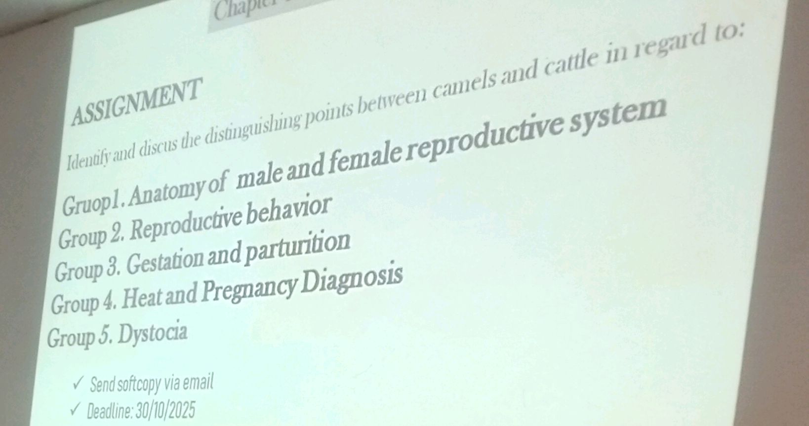 ASSIGNMENT Identify and discus the | StudyX