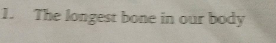 What is the longest bone in the human body?