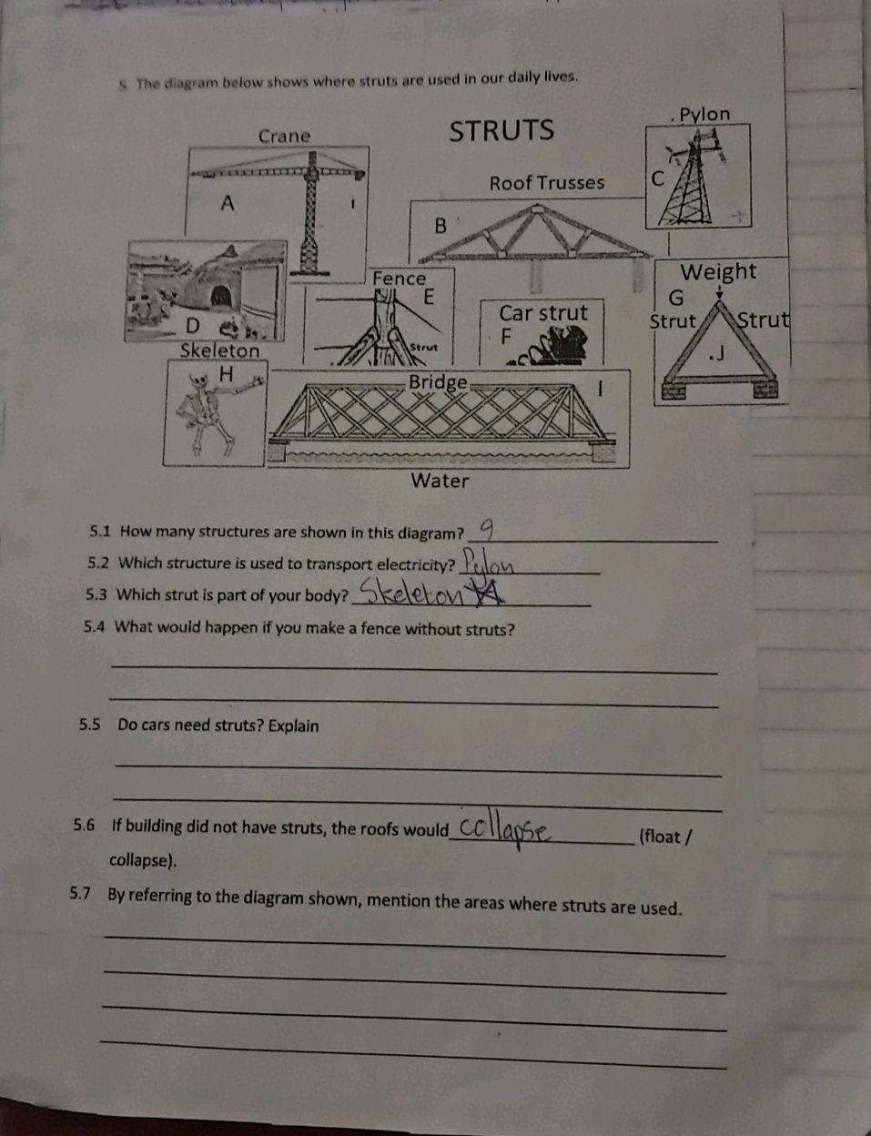 5. The diagram below shows where struts are | StudyX