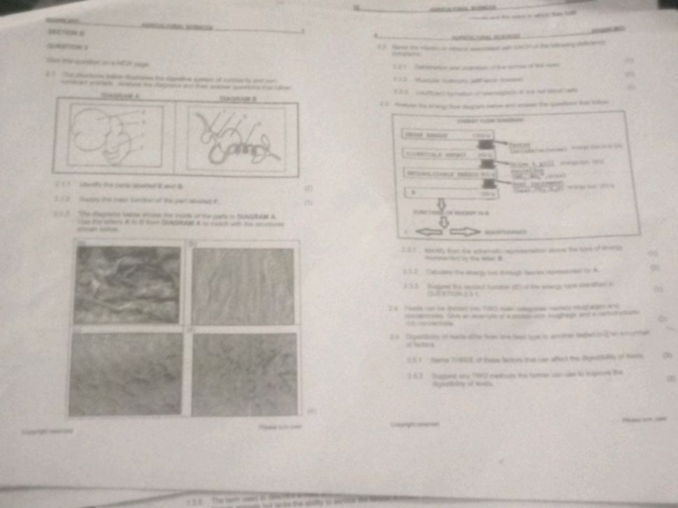 2.1 The diagrams below illustrate the | StudyX