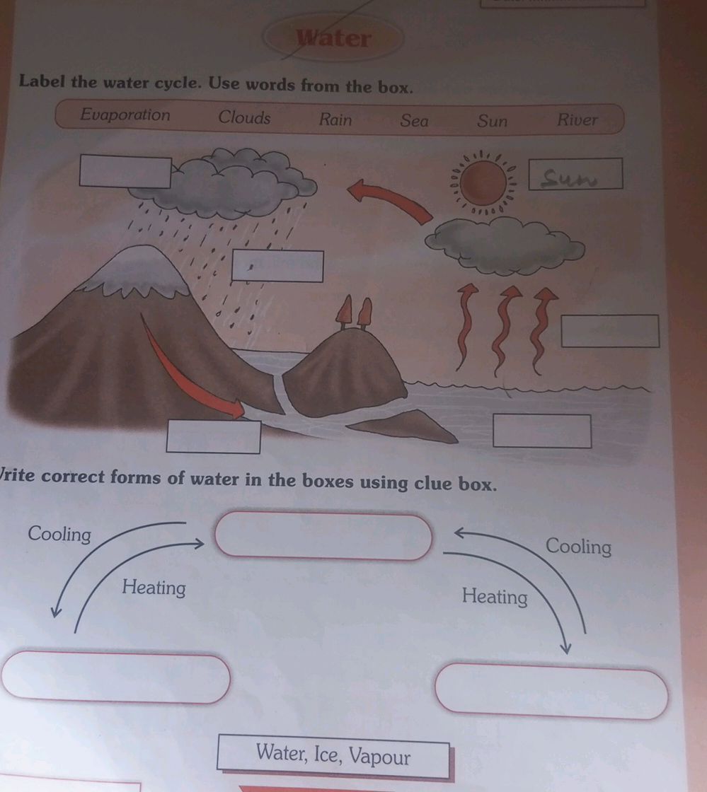 Label the water cycle. Use words from the | StudyX
