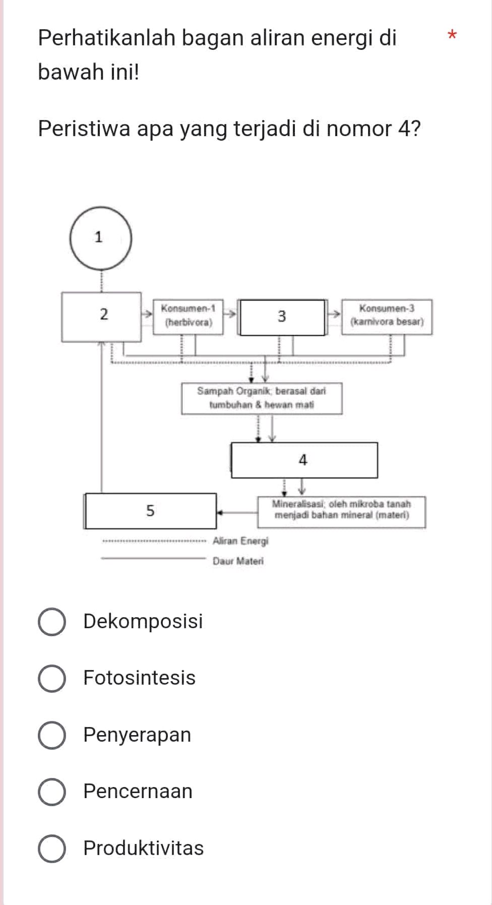 Perhatikanlah bagan aliran energi di bawah | StudyX