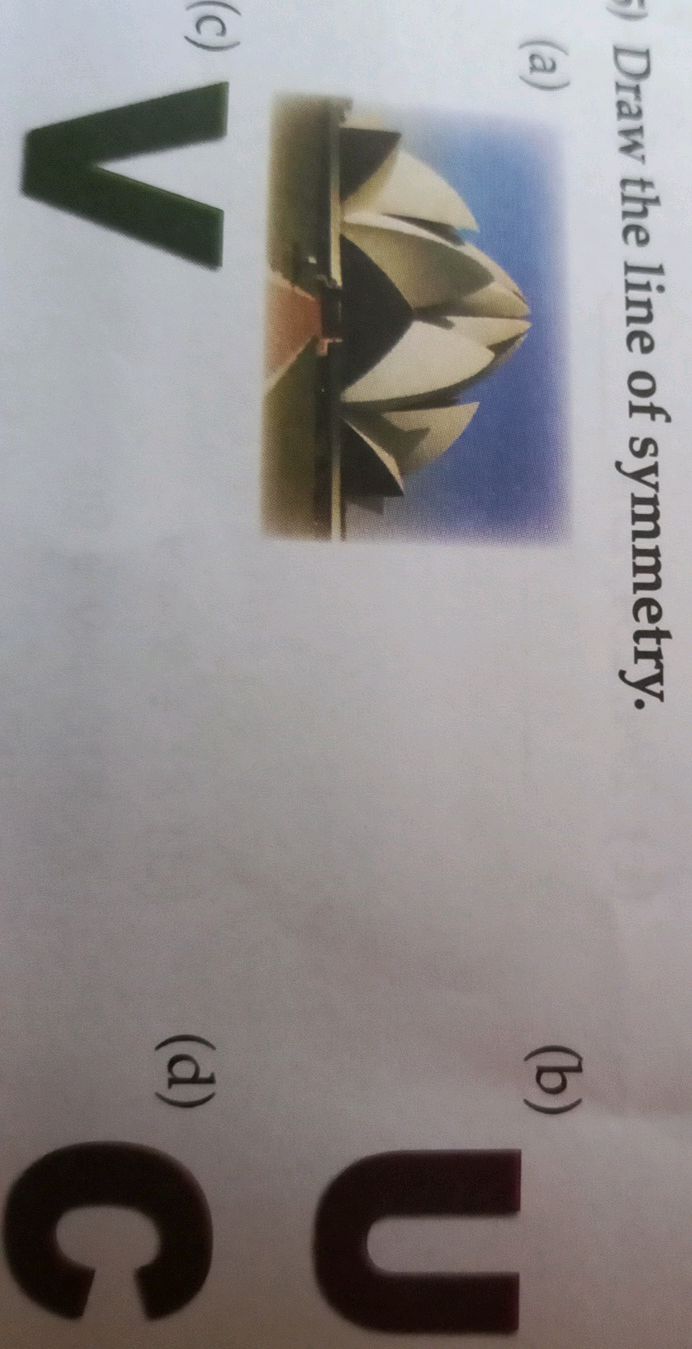 5) Draw the line of symmetry. (a) (b) (c) (d) | StudyX