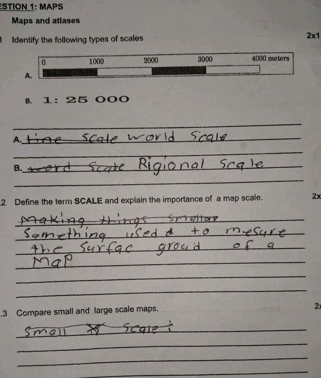 1. Identify the following types of scales | StudyX