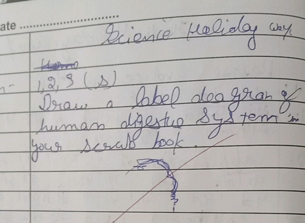 Draw a label diagram of human digestive | StudyX