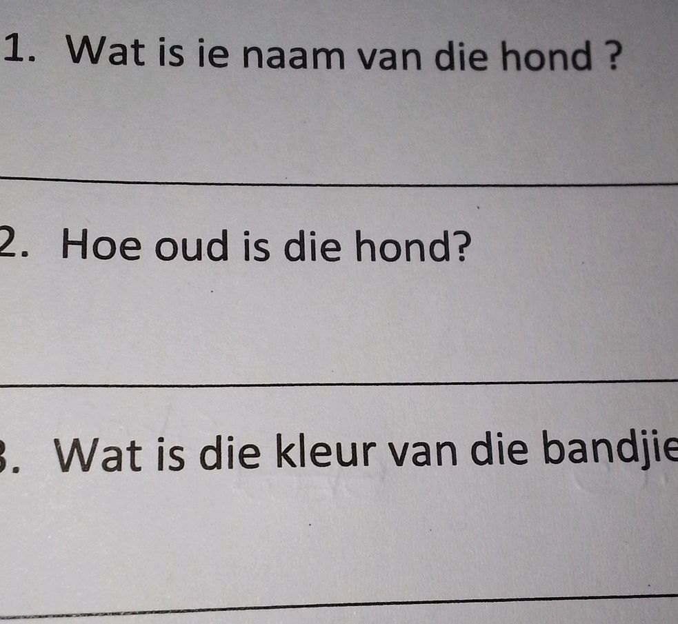 1. Wat is ie naam van die hond ? 2. Hoe oud | StudyX