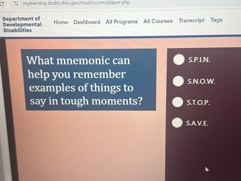 What mnemonic can help you remember examples | StudyX