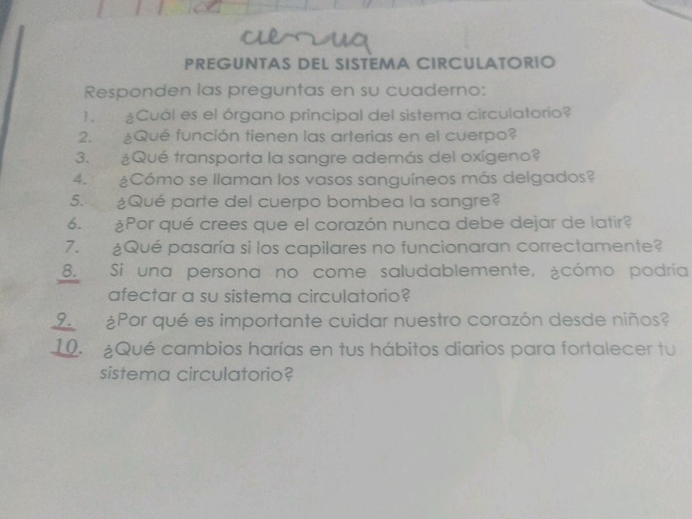 PREGUNTAS DEL SISTEMA CIRCULATORIO | StudyX