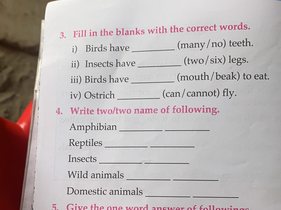 3. Fill in the blanks with the correct | StudyX