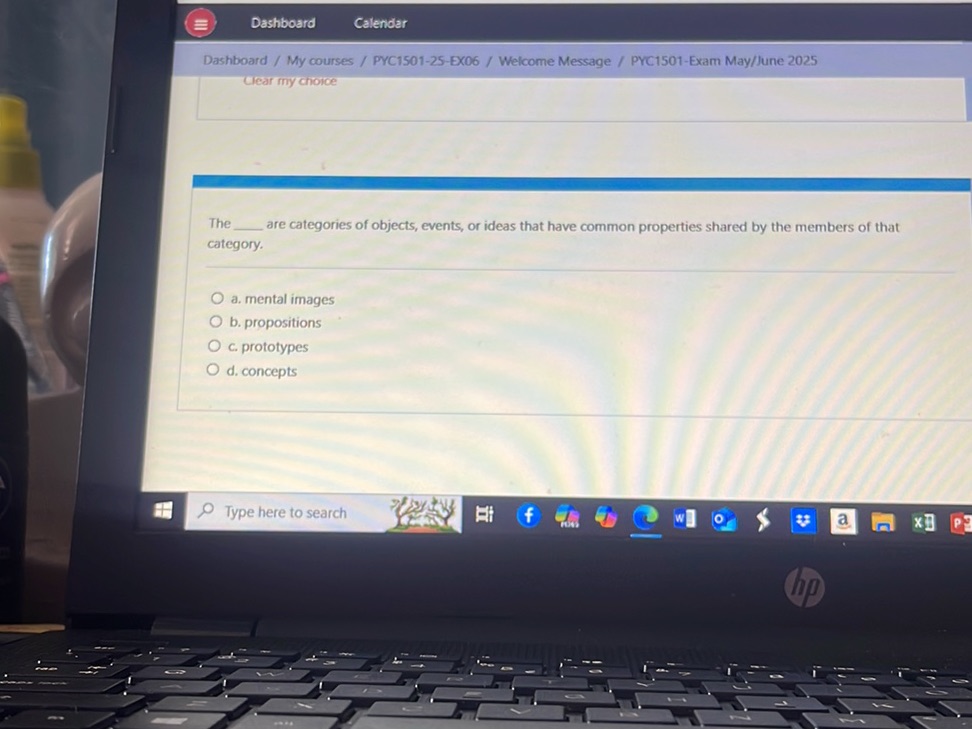 The ______ are categories of objects, | StudyX