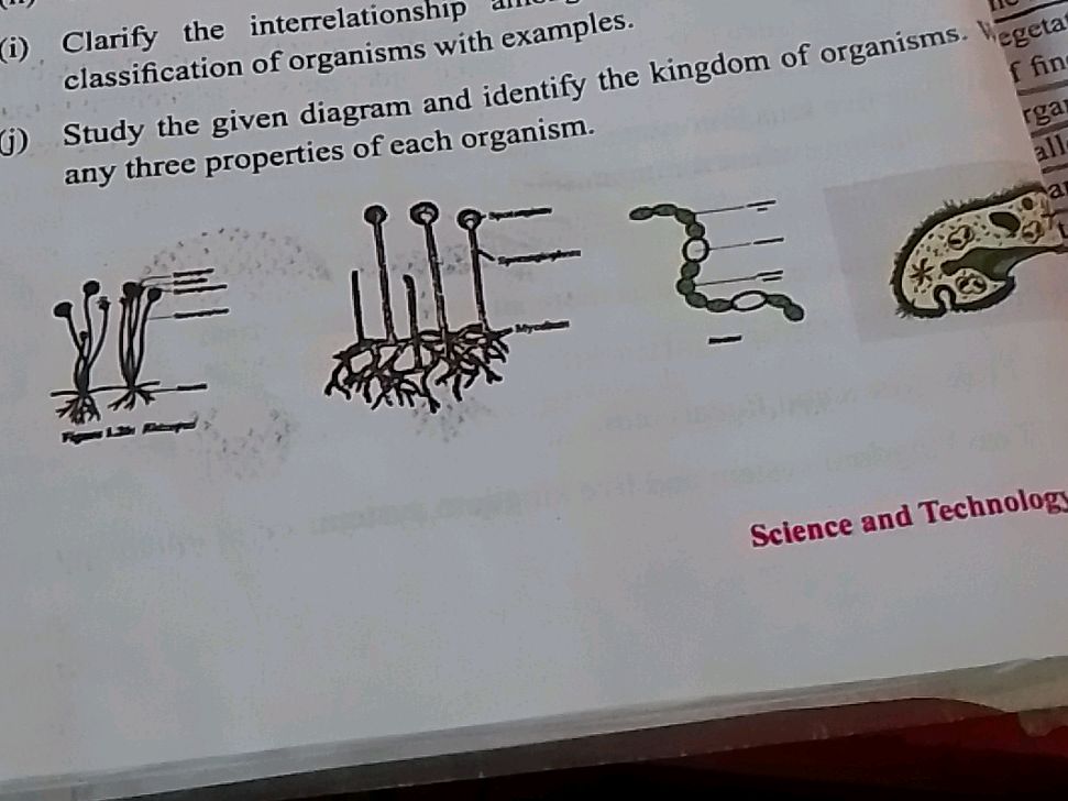Study the given diagram and identify the | StudyX