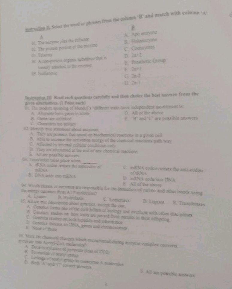 Instruction II. Select the word or phrases | StudyX
