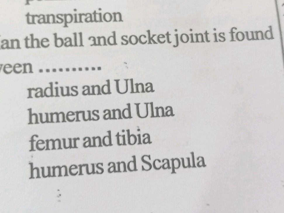 an the ball and socket joint is found | StudyX