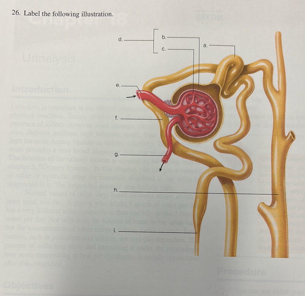26. Label the following illustration. d. | StudyX