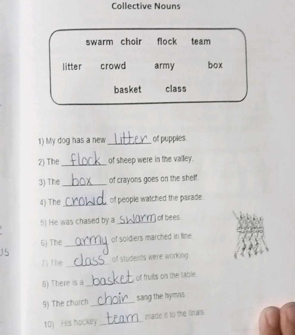 Collective Nouns swarm choir flock team | StudyX
