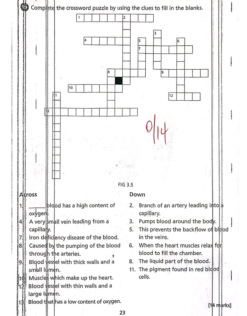 Complete the crossword puzzle by using the | StudyX