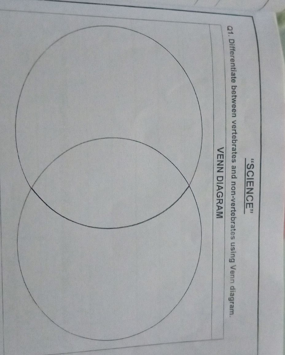Q1. Differentiate between vertebrates and | StudyX