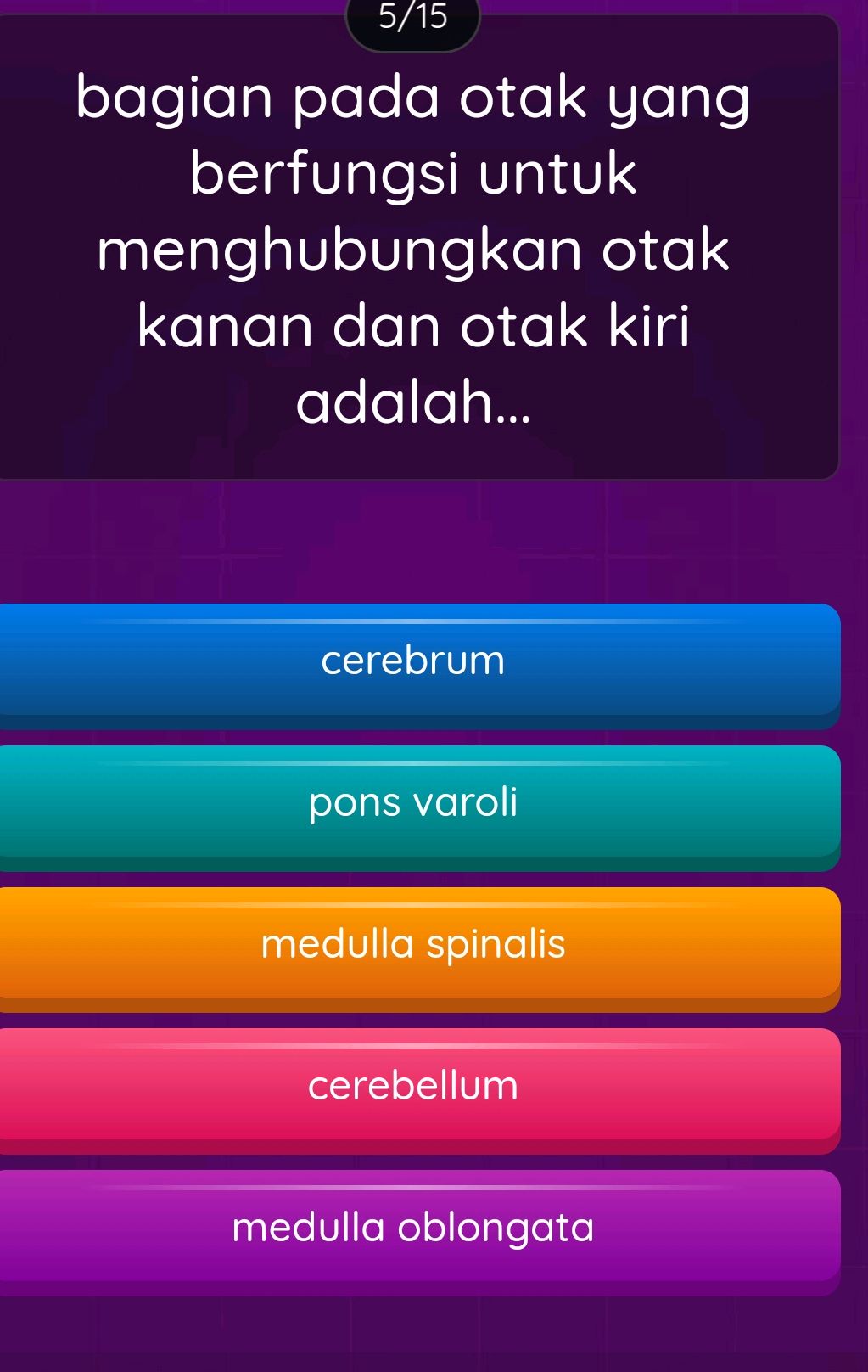 bagian pada otak yang berfungsi untuk | StudyX