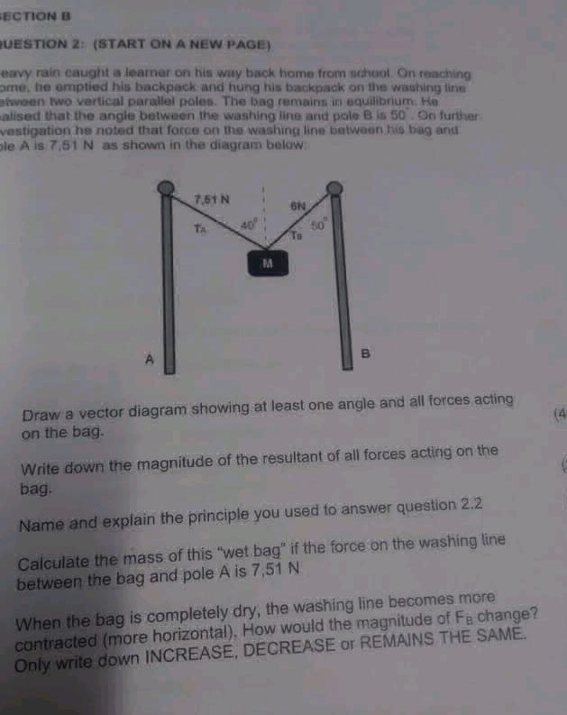 Draw a vector diagram showing at least one | StudyX