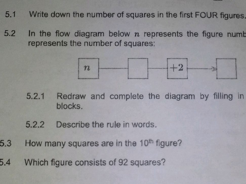 5.1 Write down the number of squares in the | StudyX
