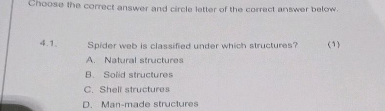 4.1. Spider web is classified under which | StudyX